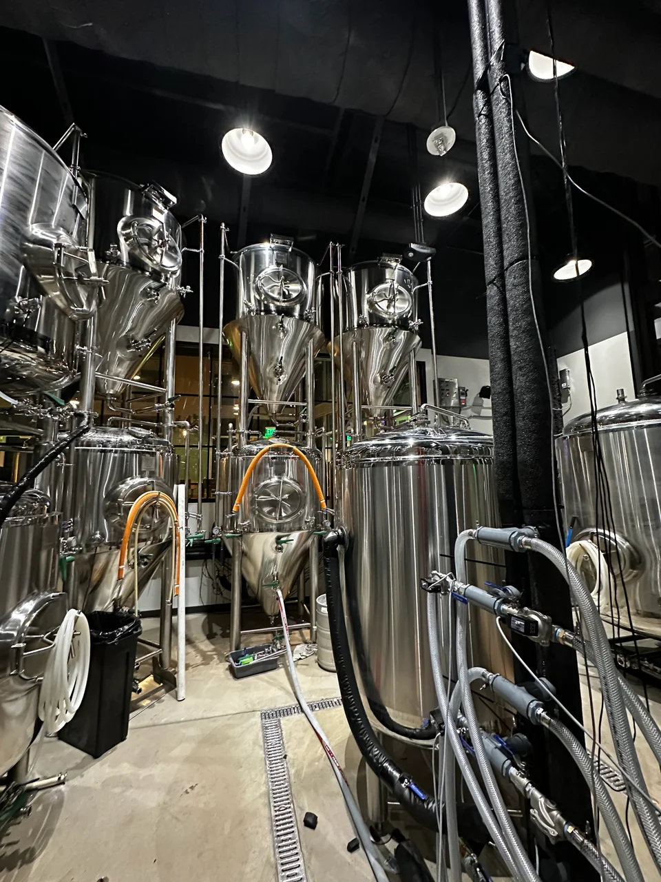 Flying Bull Beer Company