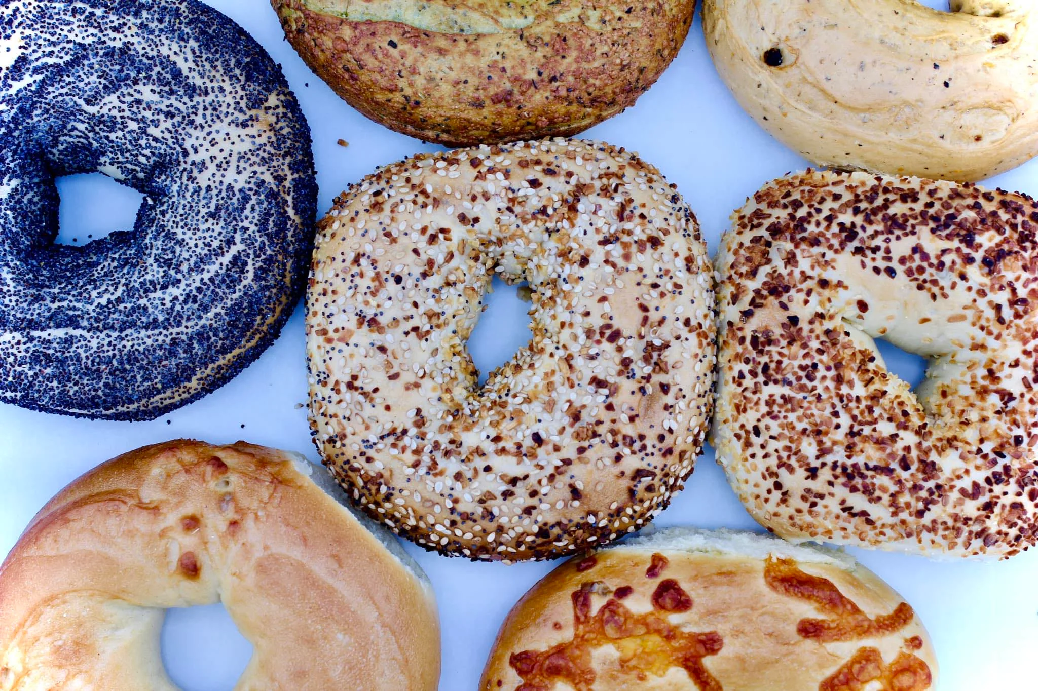 Catering | Homemade Bagels & Breakfast for Events in Pensacola, FL