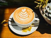 Klein's Bakery & Cafe (LakeviewEast) 426 West Diversey Parkway - Coca ...