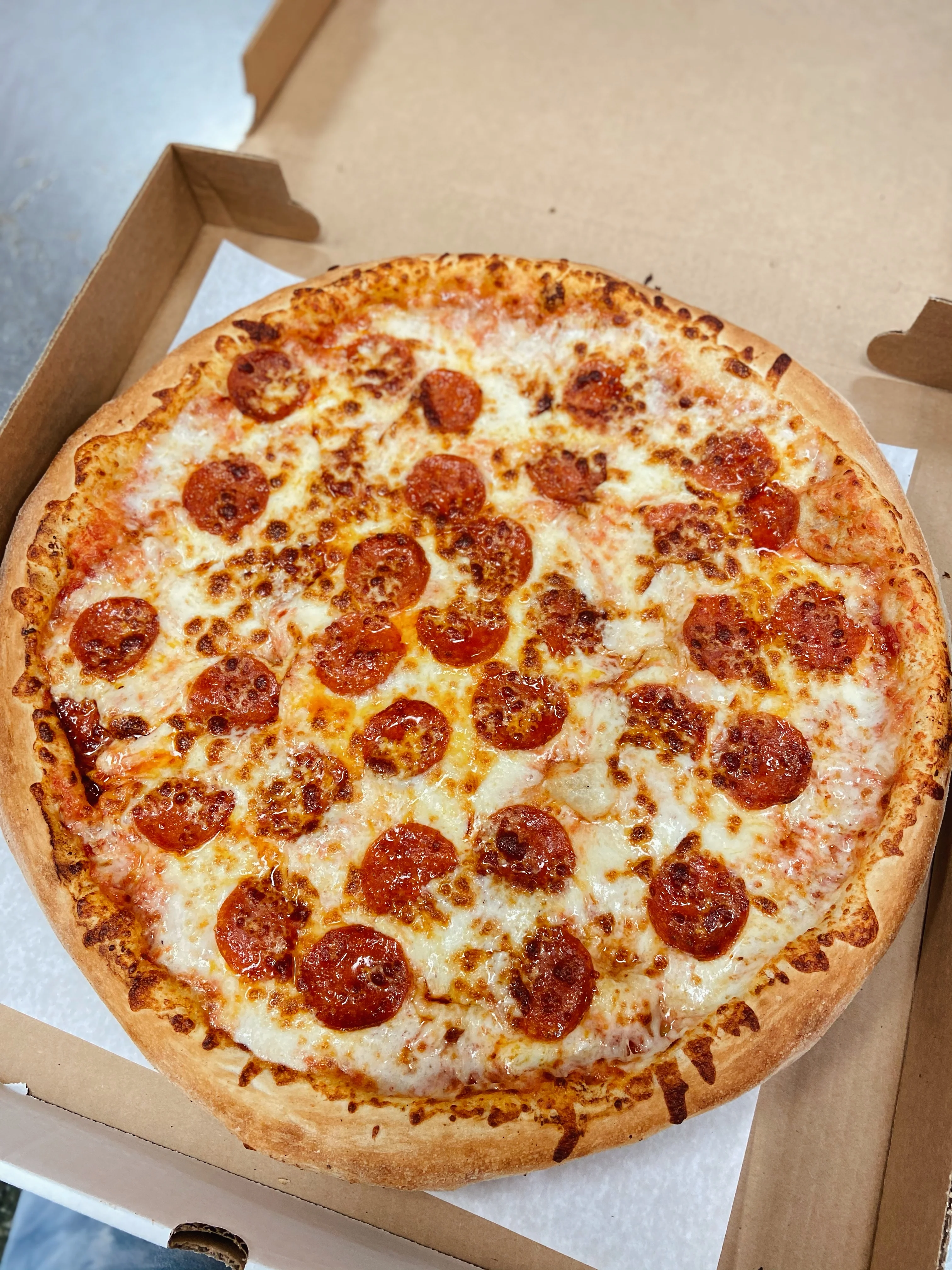 TD Alfredo's Pizzeria - Large Sandwich combo