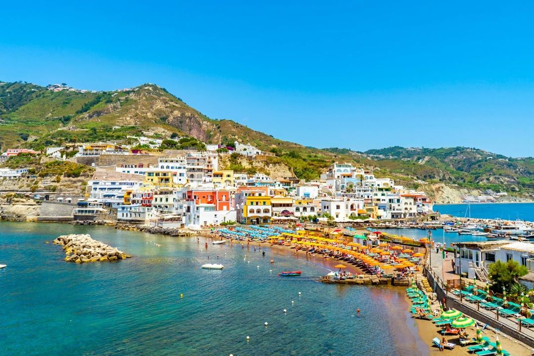 Che Pizza - Napoli Panino w/ Fries & Soda