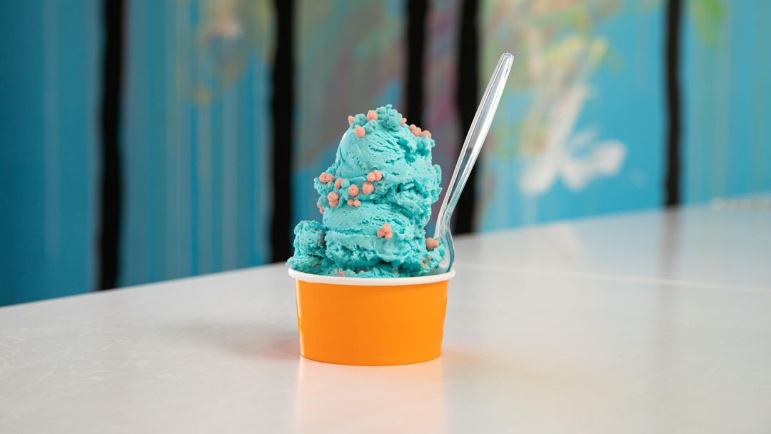 Cali Cream Homemade Ice Cream 90 North Coast Highway 101, Suite 101 | Toast