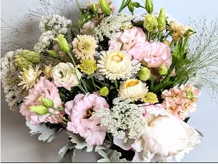 Sen Organic Flowers