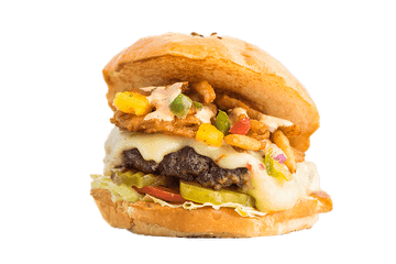 OMG! Burger Spring - Nash me up sliders(3 Hawaiian bun with fries)