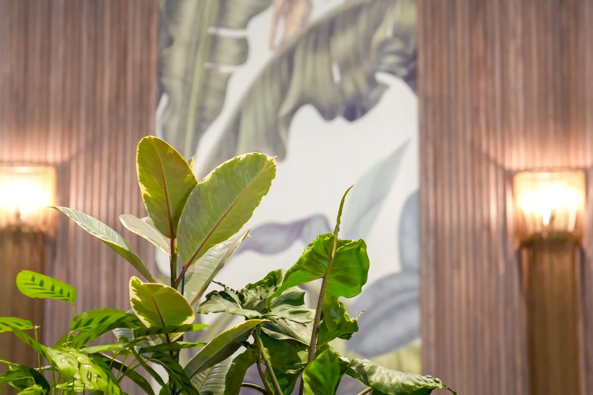 880 International Parkway - Spanish Rosted Octopus