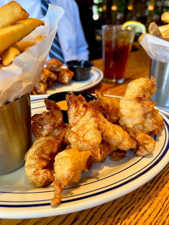 Columbia - Chicken Strips Appetizer