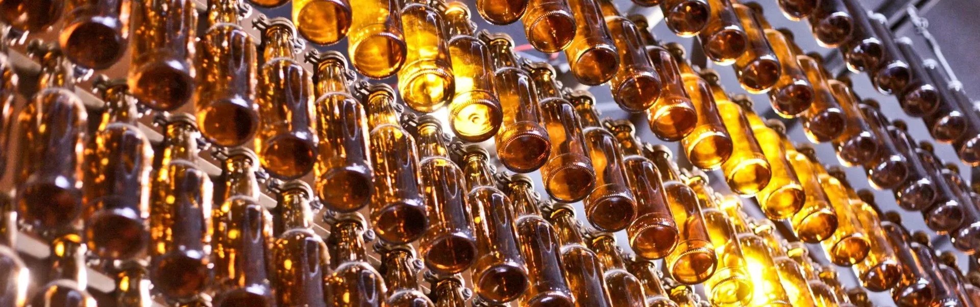 Billings, MT - GR BUFFALO CHICKEN SANDWICH