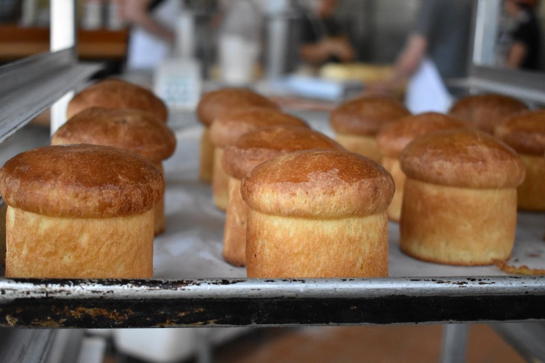Concord Ave - Soda Scone