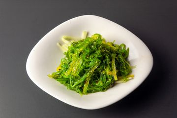 3600 Massard Road - Squishy Dumpling