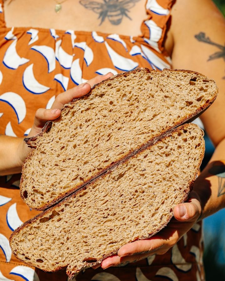 Quail & Condor | Toast