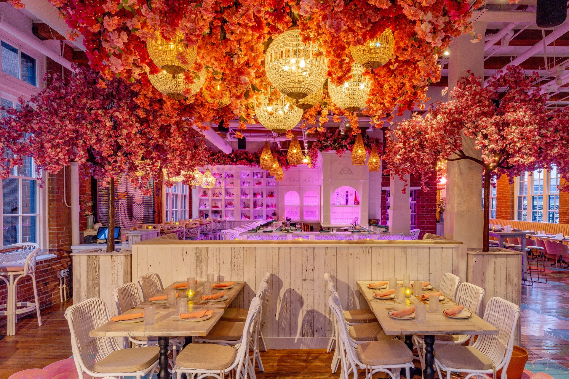 CITRUS & SALT - GREEN RICE