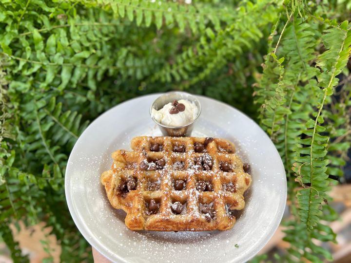 Water Street Waffle Co. 107 Water Street | Toast