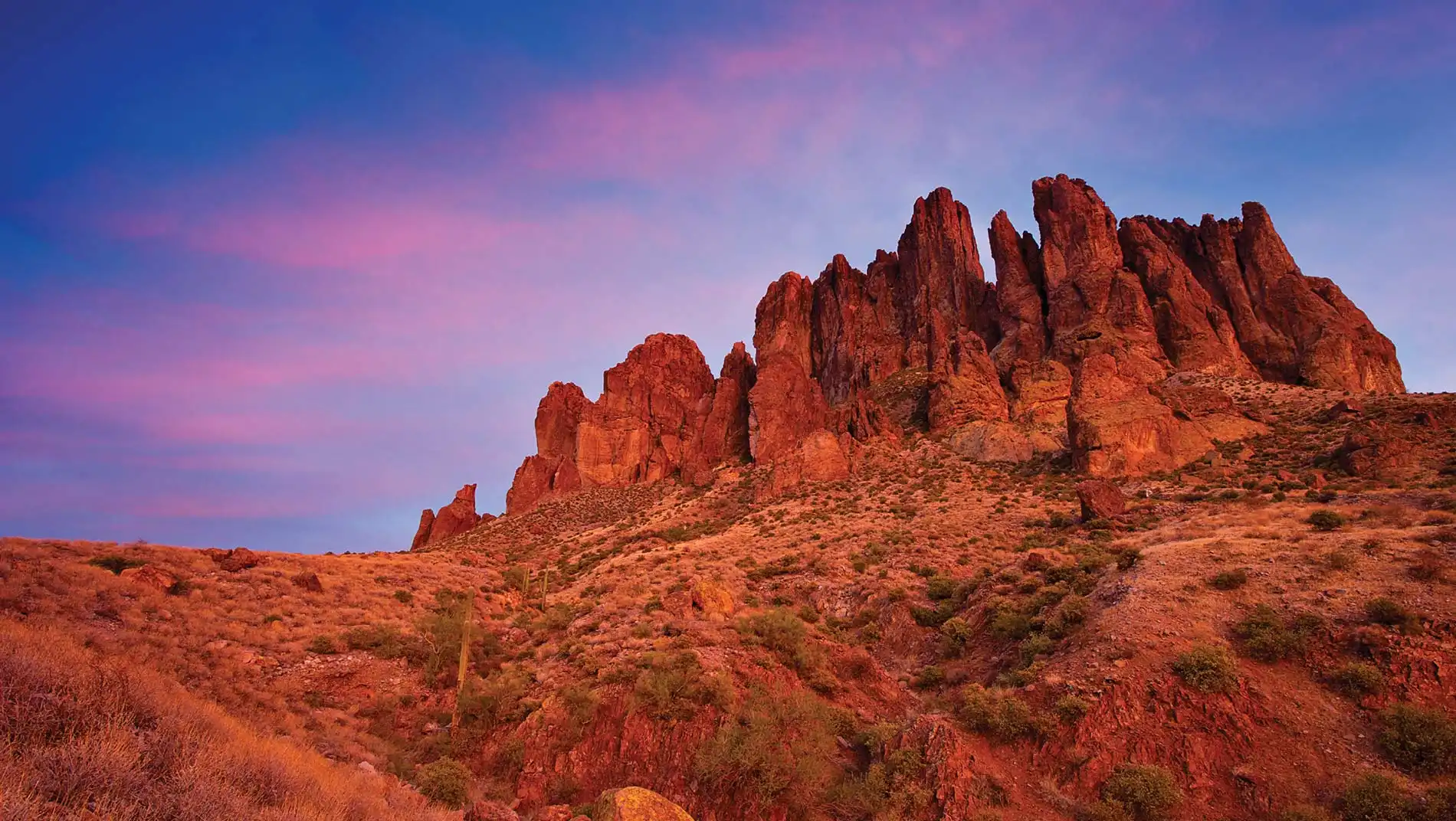 13650 N Frontage Rd - Vegetable Nachos