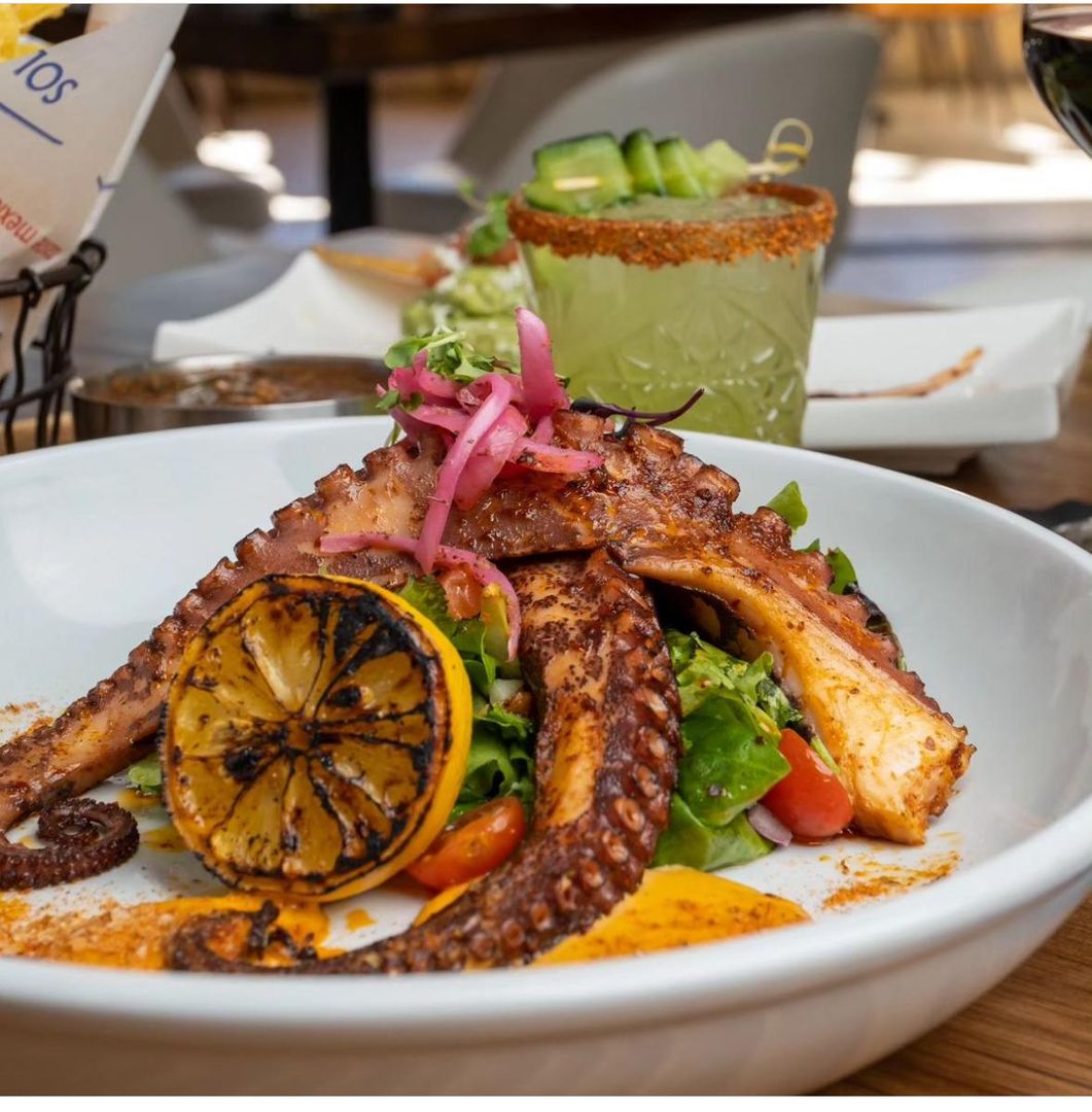 Sol Agave SLC | Toast