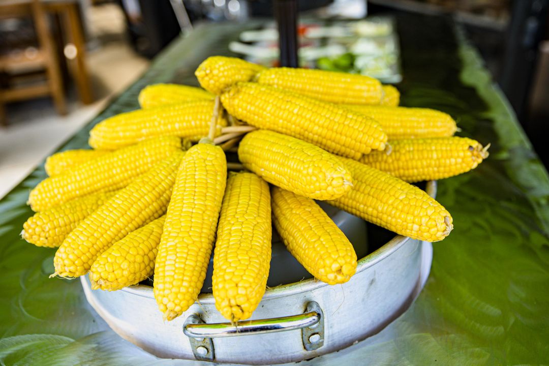 Adrian's Mexican Street Food Westgreen - Grilled Chicken Adrian