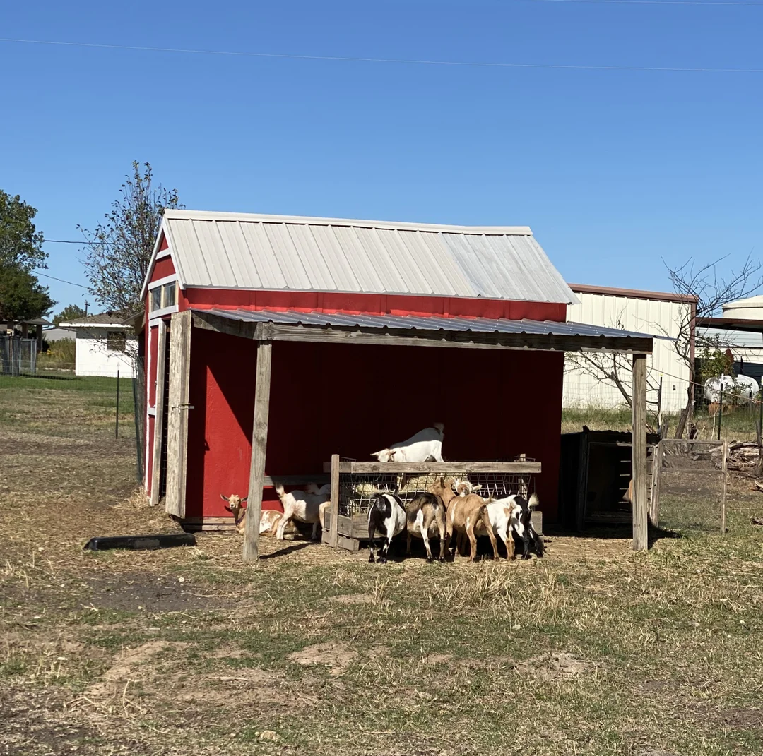 GOAT FARM COFFEE HOUSE