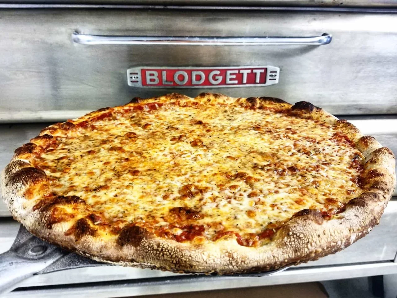 49 Spring Street - Maine Roots Ginger Brew