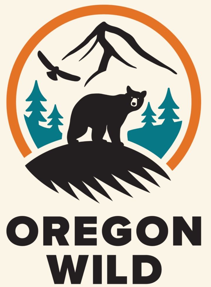 Dekum - My Stars Shine Darkly