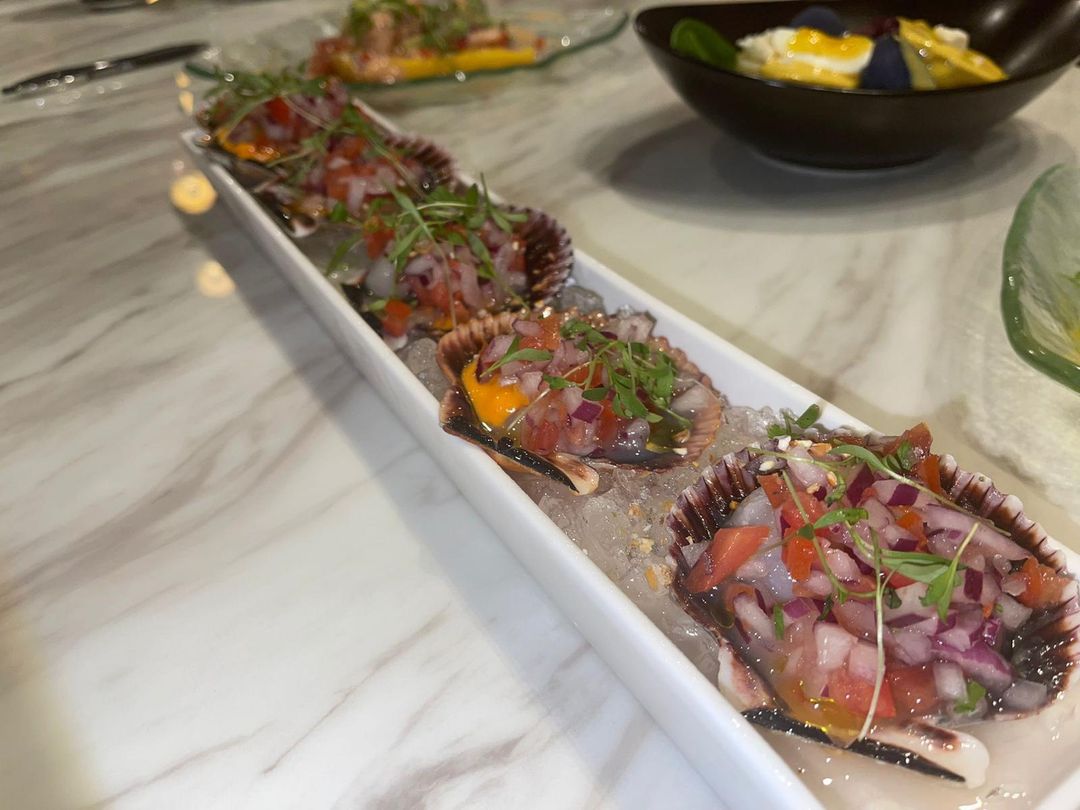 CVI.CHE 105 CVI.CHE 105 Boca Raton | Toast