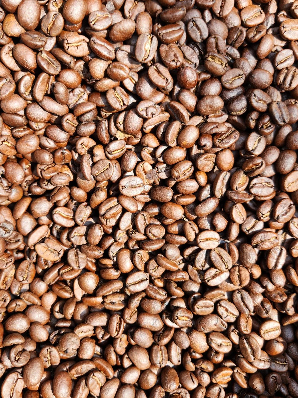Jolted Cup Coffee Company - about