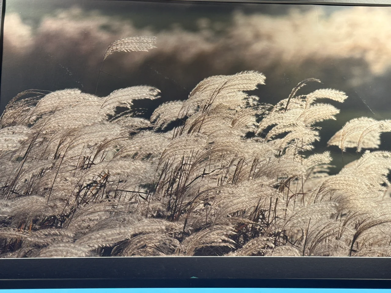 Bozeman Market & Deli (New Ownership) - The HALF BROOKLYN