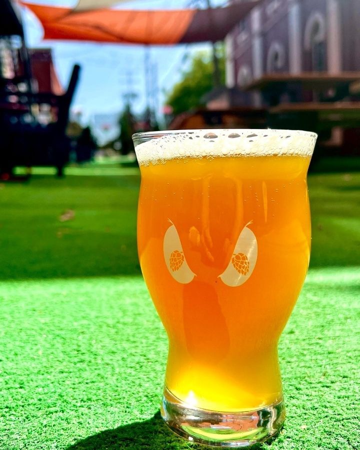 BAD Brewing Company - IPA: Snappy Citra