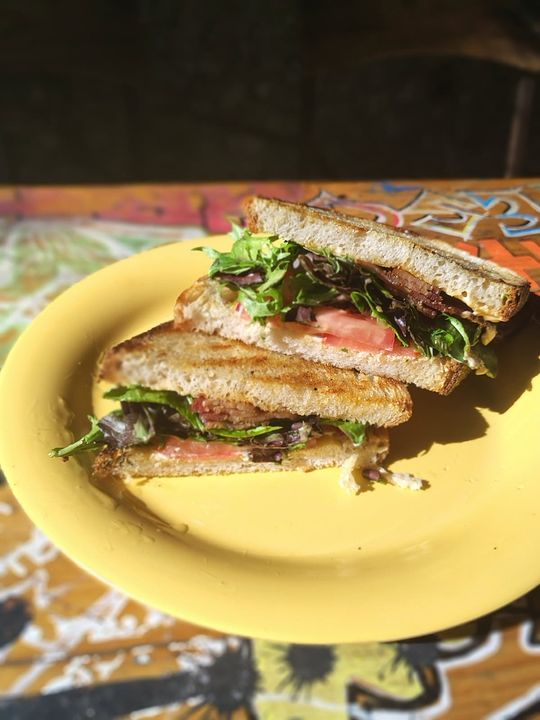 Yellow Jacket Social Club 1704 East 5th | Toast