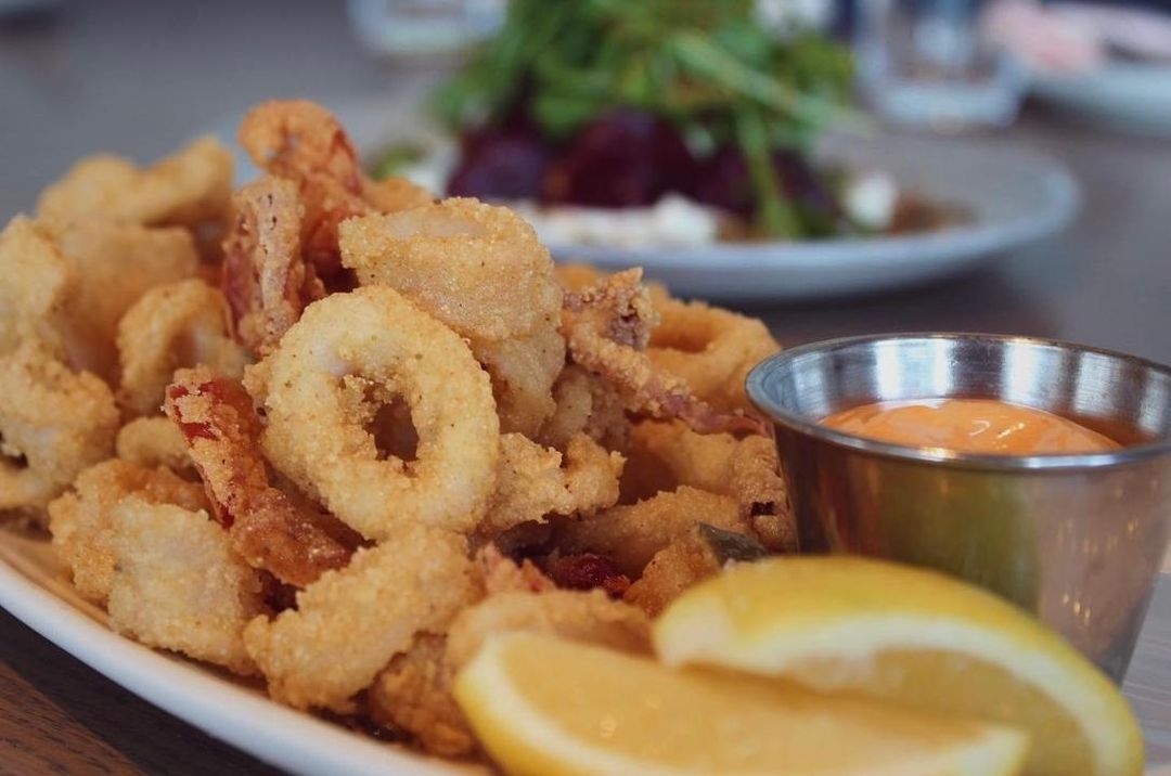 Dryft Wellesley | Toast