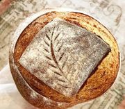 West Boylston St - Bailey's Brownie