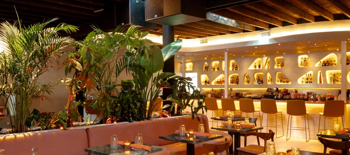 Aaktun Coffee + Bar | Contact Us