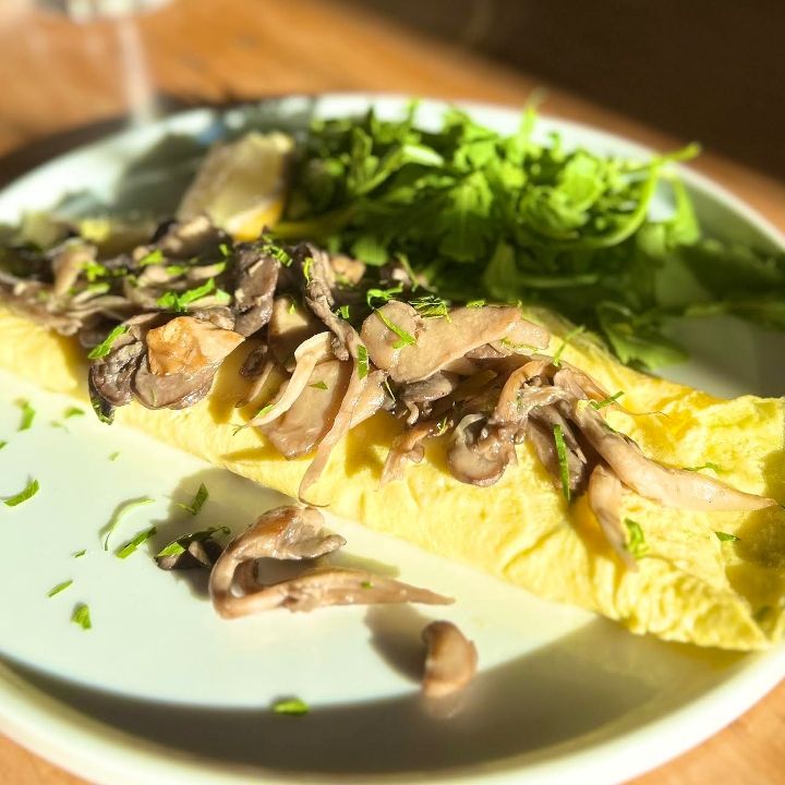 Milo & Olive | Toast