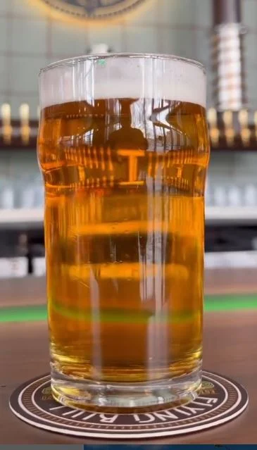 Flying Bull Beer Company