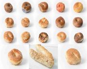Sammy's NY Bagels Order by 3pm today for Next Day Delivery by 7am | Toast