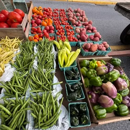 Harvest and Availablity Dates