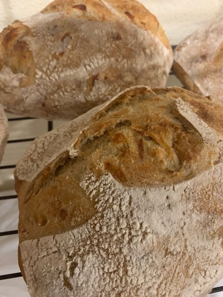 Brick Oven Bakery | Toast