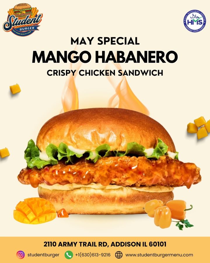 Student Burger - Boneless Chicken Wings