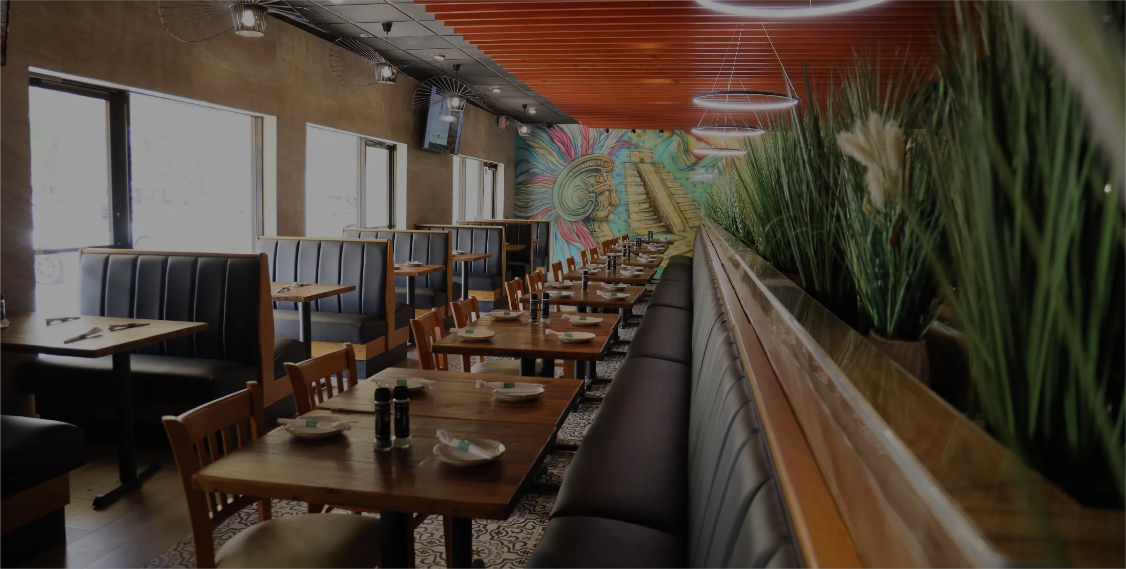Toro Mambo Mexican Grill, Modern Mexican Restaurant