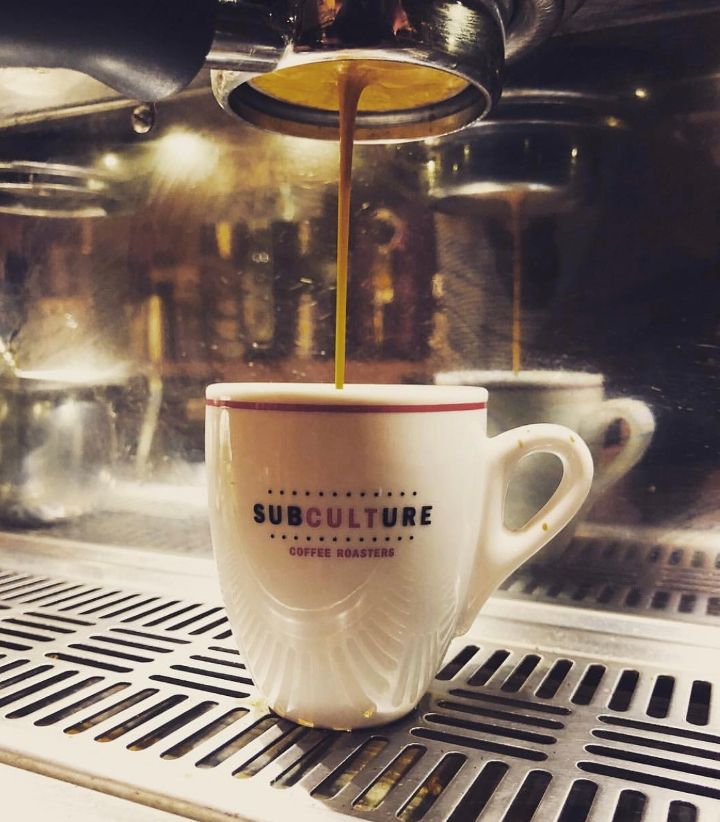 Subculture Coffee - Boca Raton - Hats