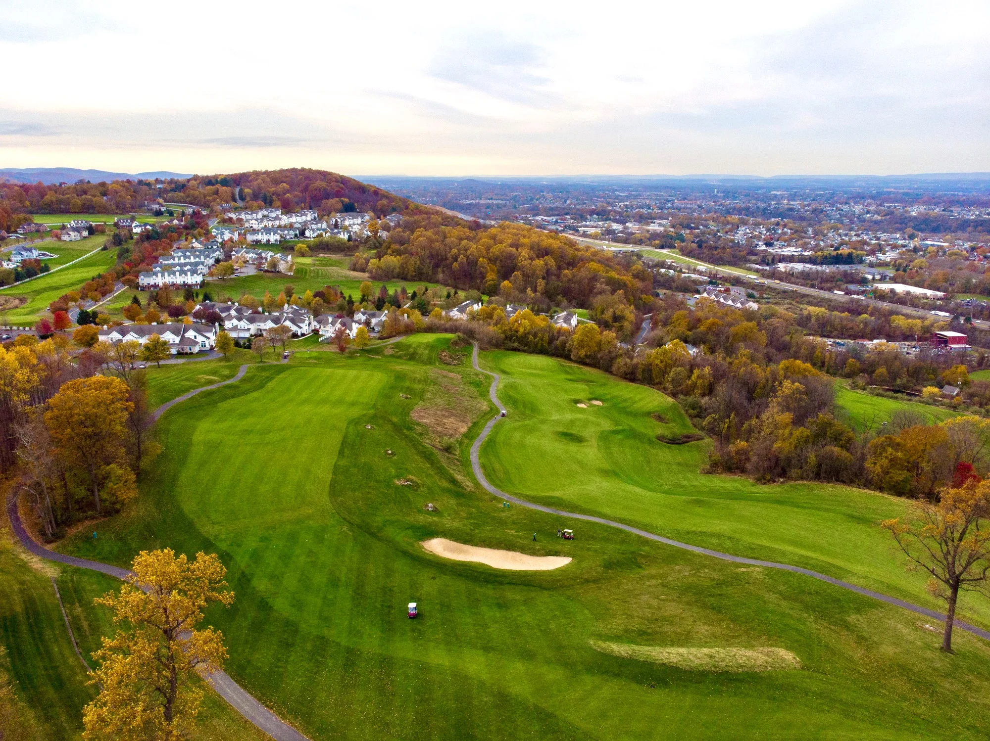 The View at Morgan Hill - Crispy Fish Taco