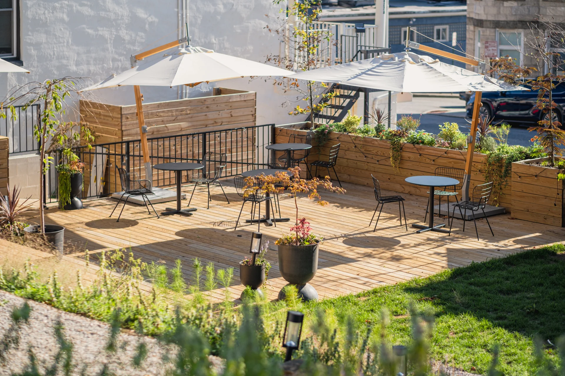 3827 Falls Rd - La Josefina Typica | Little Wolf | Single Cup