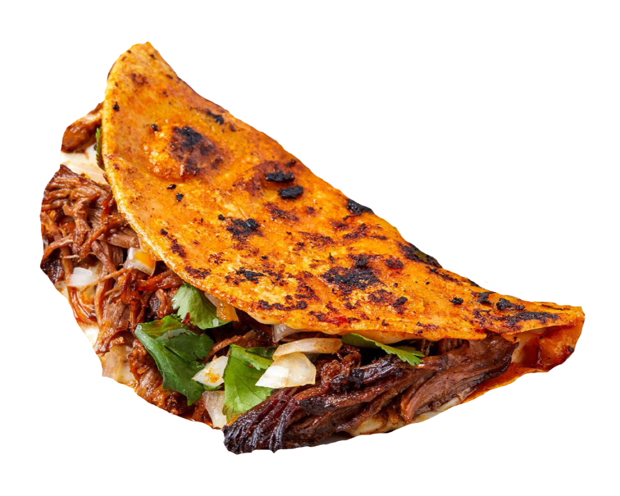 Space City Birria Tacos and More 415 Milam - Side of Guacamole