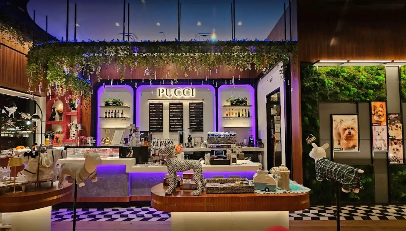 LaCenterra at Cinco Ranch - Oreo Cheesecake