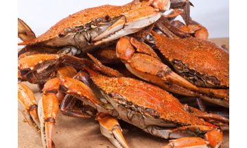 Mr. Bill's Fresh Seafood & The Fat Crab Cafe - XL Range Male Crabs, Hot ...