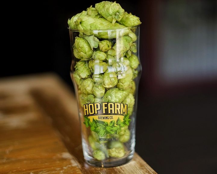 Hop Farm Brewing Company | Toast