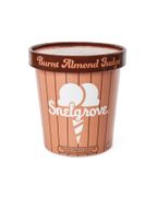 Snelgrove Ice Cream Sandy | Toast