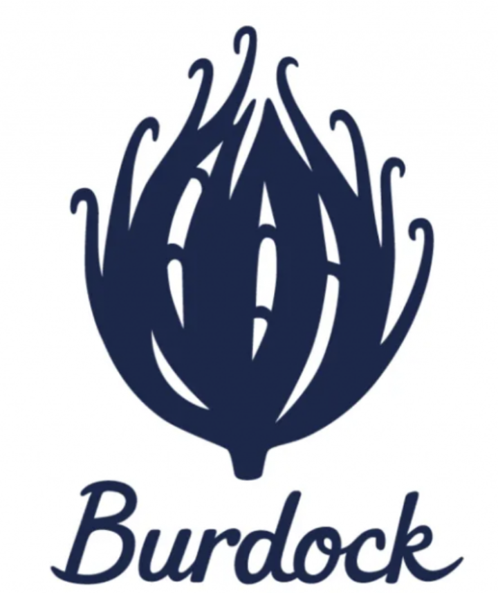 Jane Bond - Kitchen Sink Brownie