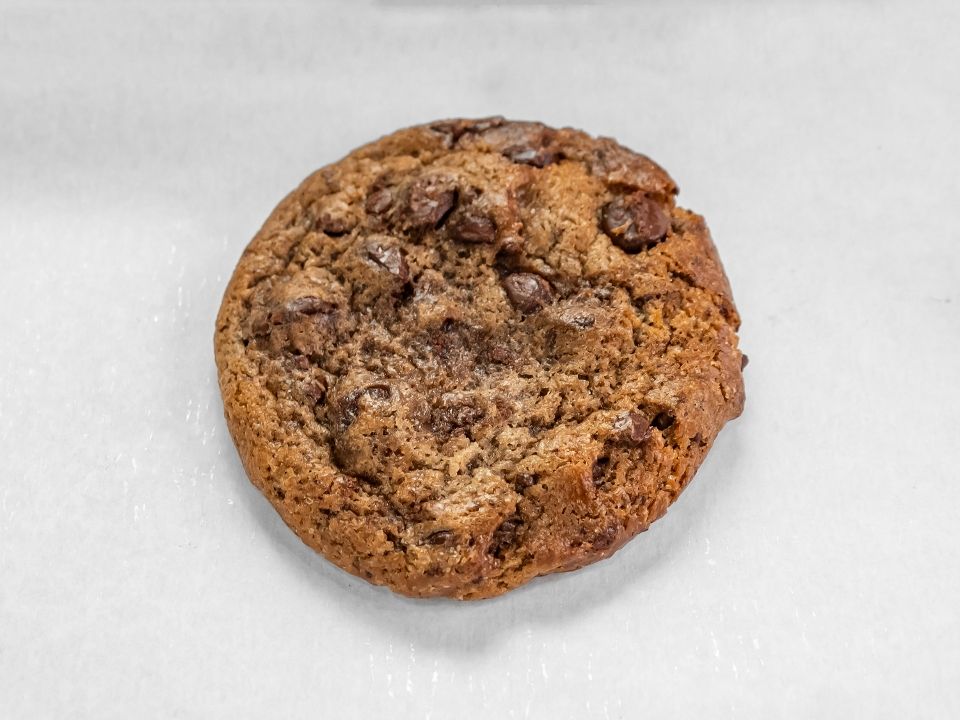 1537 Cecil B Moore Ave - OATMEAL ORANGE CRANBERRY