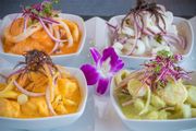 Dr. Limon FIU LLC 10544 Southwest 8th Street - Media bandeja causa de pollo