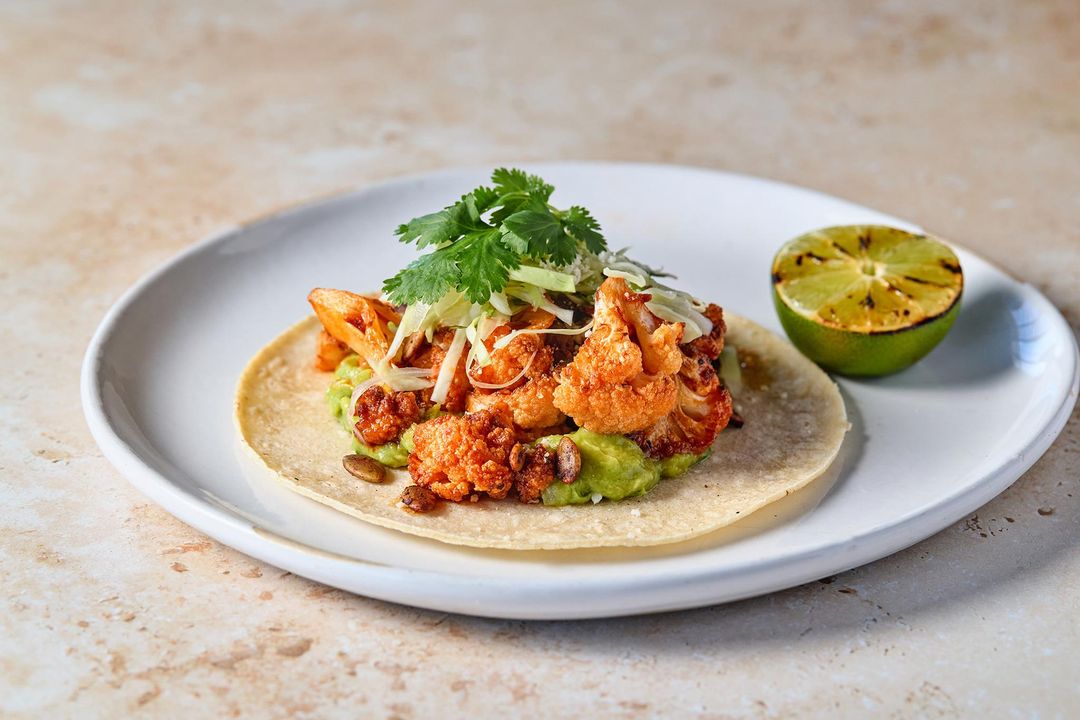 Painted Burro Waltham | Toast