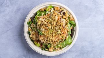 Source - Hibiscus Palmer